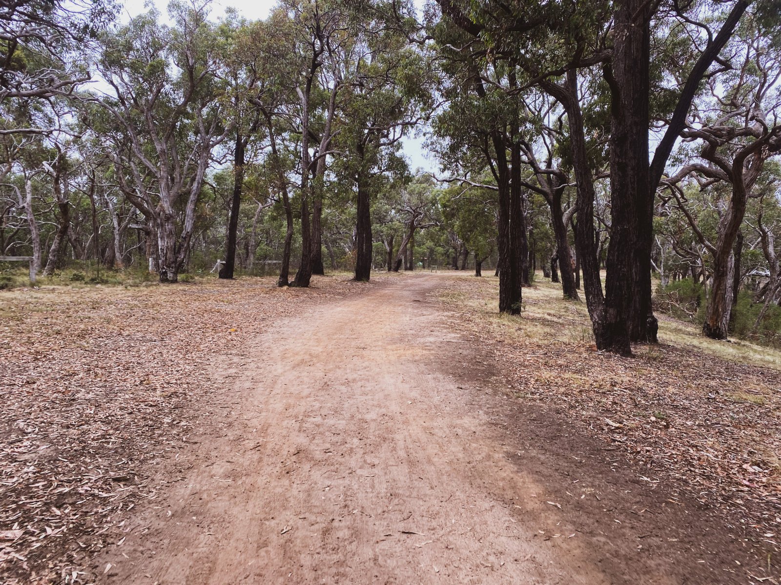 Torquay - Anglesea Heath, Gravel Loop - BikeRoutes