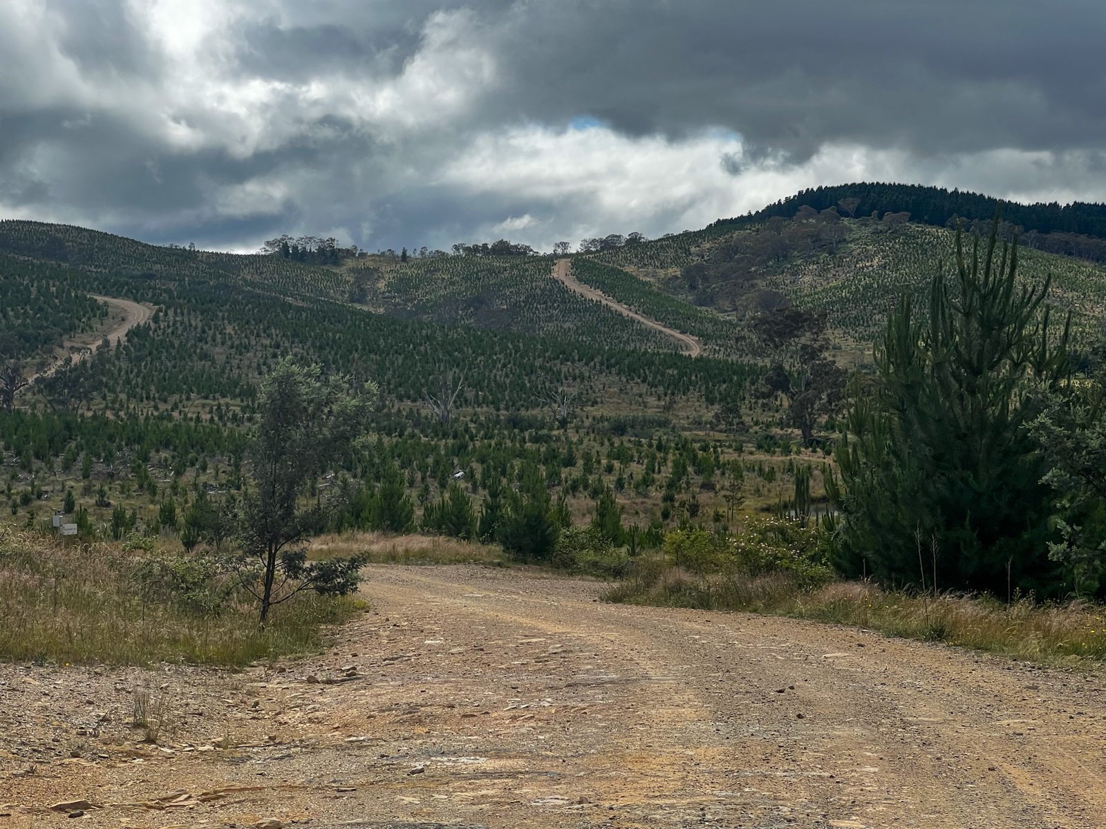Bungendore via Kowen Forest Gravel Loop - BikeRoutes